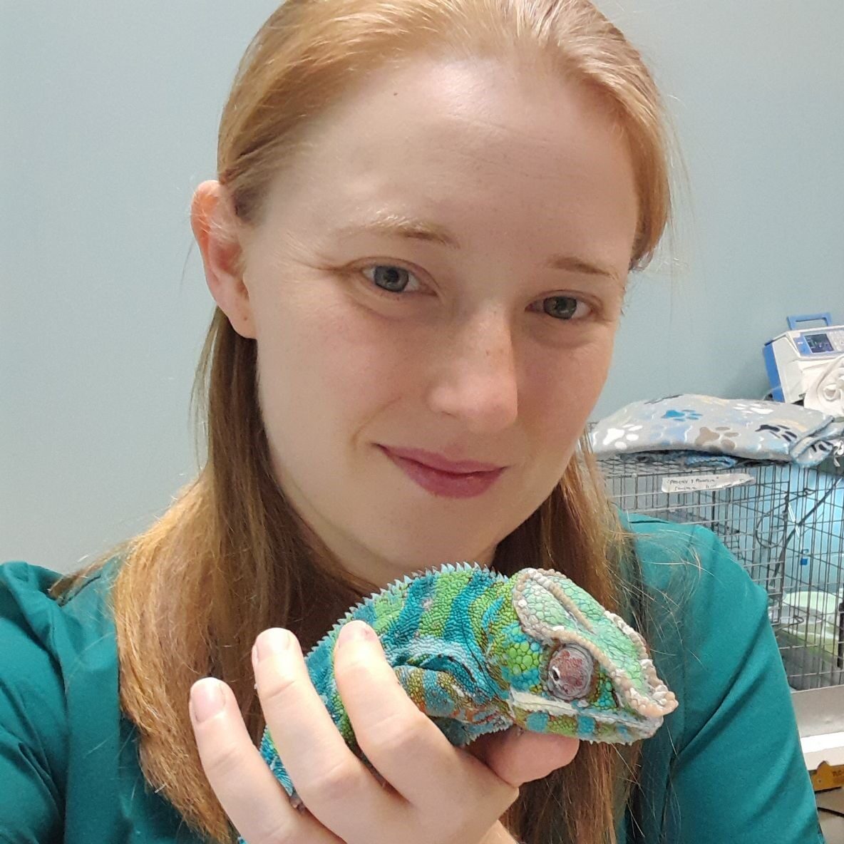 Alexis | Monument Road Animal Hospital